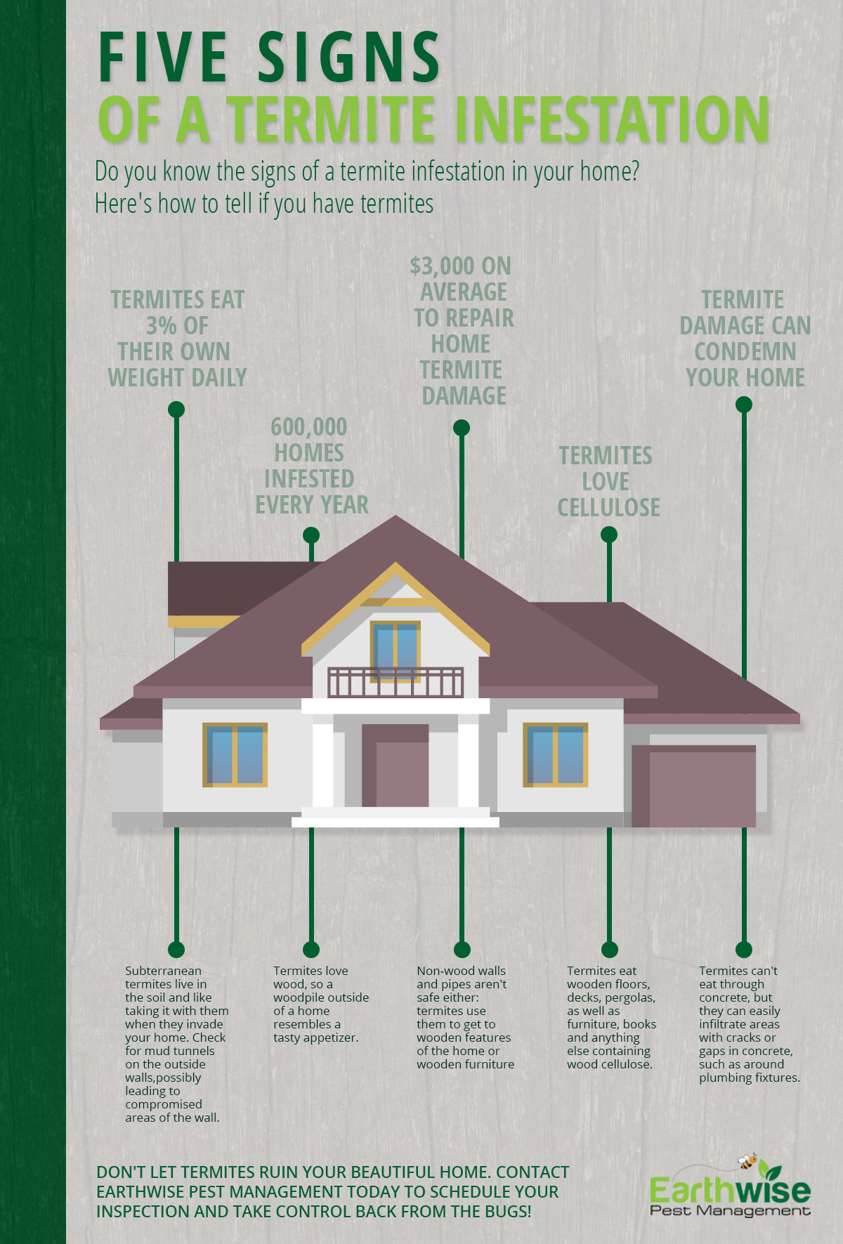 Termite Control and Management in Sacramento